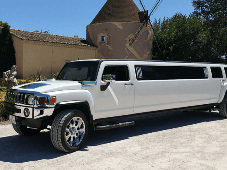 Party Bus Fleet We Offer In Miami | Miami Luxe Limo
